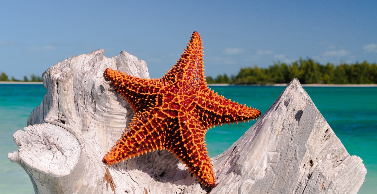 Punta Cana SemanaSanta